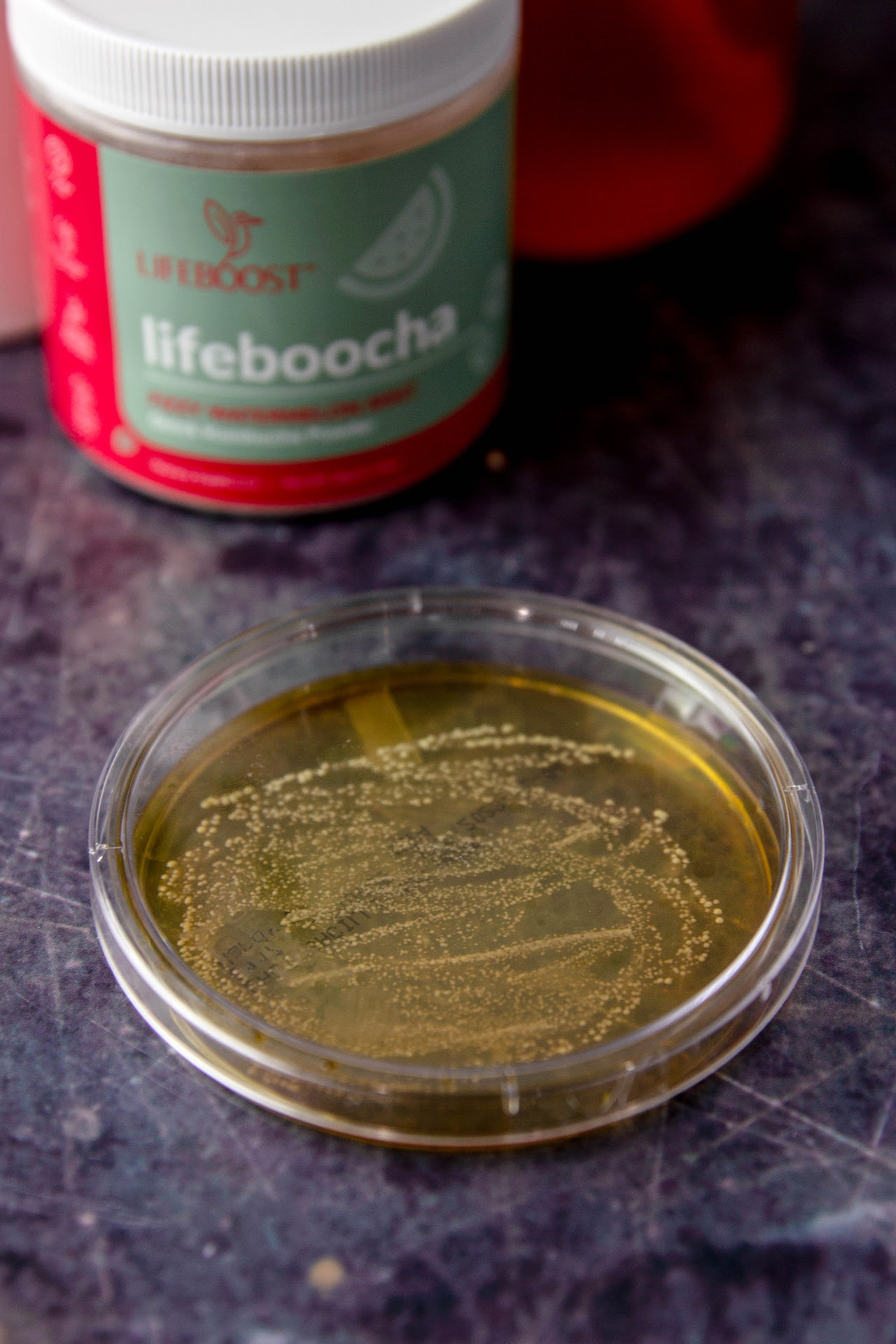 Lifeboocha: Instant Kombucha Powder for Gut Health & Energy - Lifeboost ...