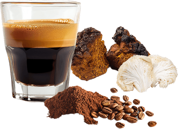 Real Mushroom Coffee - Lifeboost Coffee